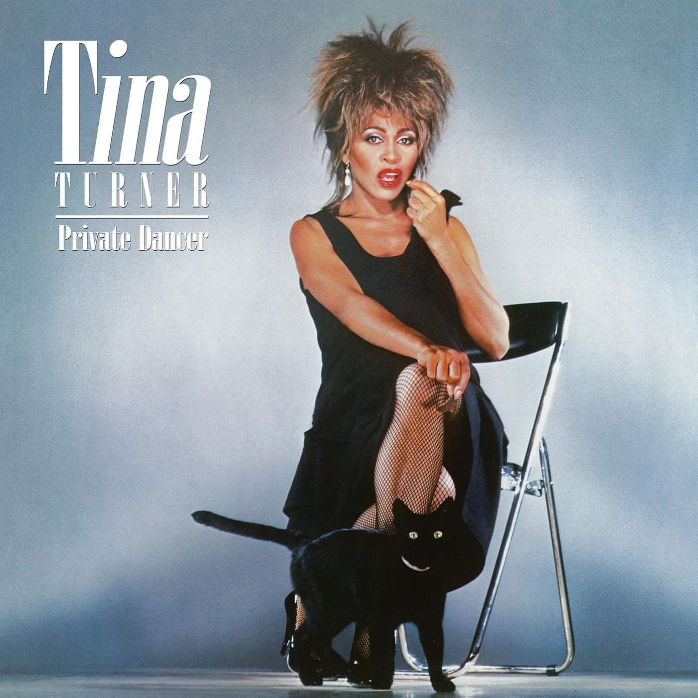 Tina Turner: Private Dancer (Blu-ray + 5 CD) [40th Anniversary] Deluxe ...